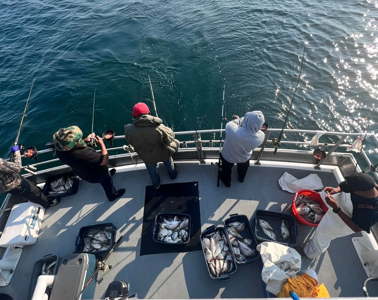 Fin Chaser – Get Hooked Up…On The FIN CHASER